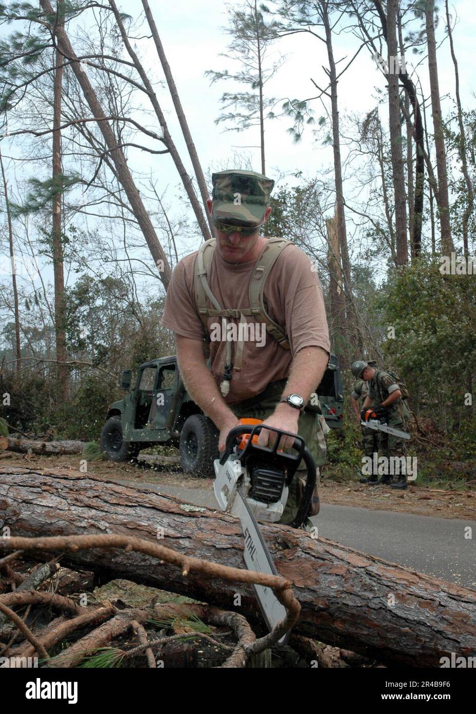 US Navy A U.S. Navy Seabee uses a chainsaw to remove fallen trees in Gulfport, Miss Stock Photo ...