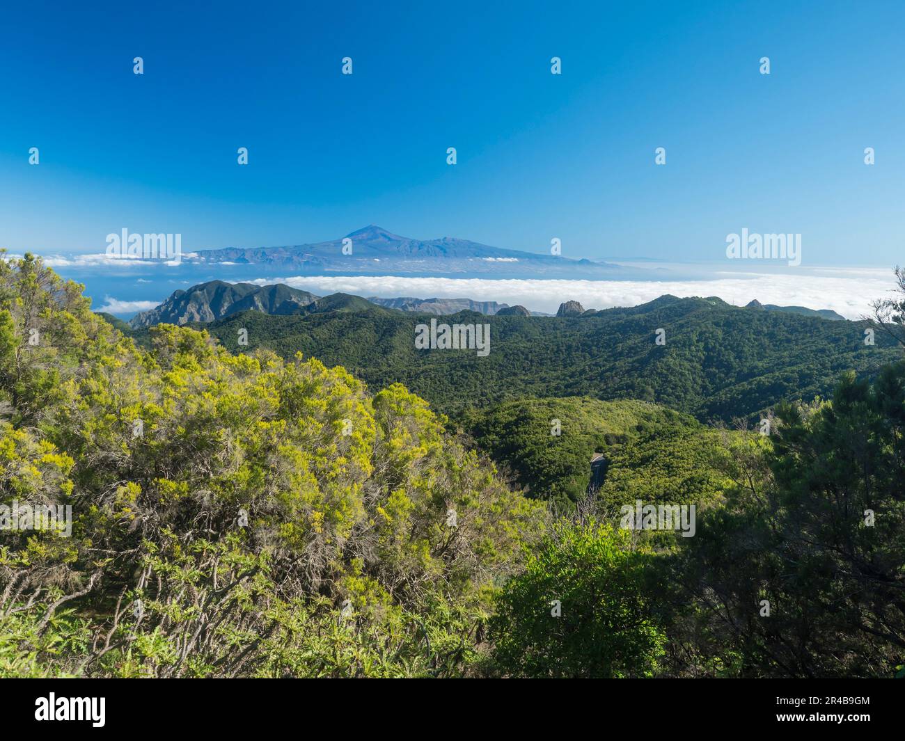 View on Tenerife island and Pico del Teide over forest and hills of ...