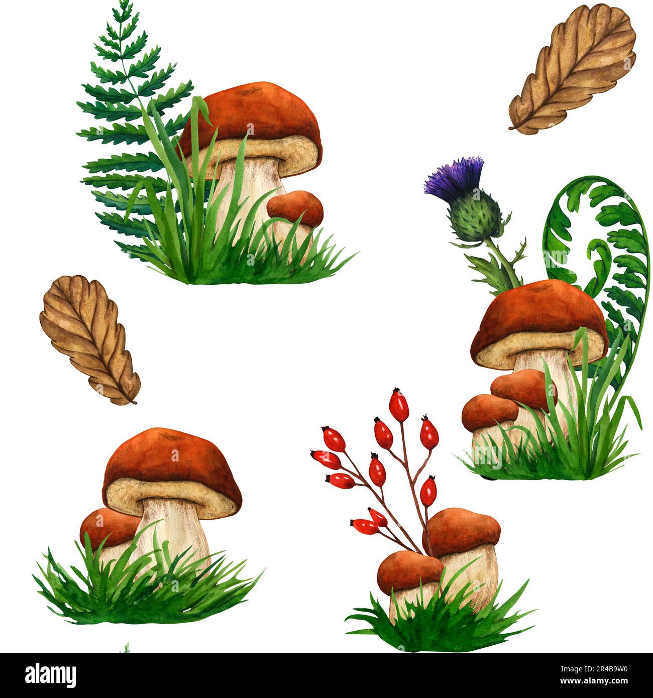 Watercolor seamless pattern wild forest mushrooms porcini and snail ...