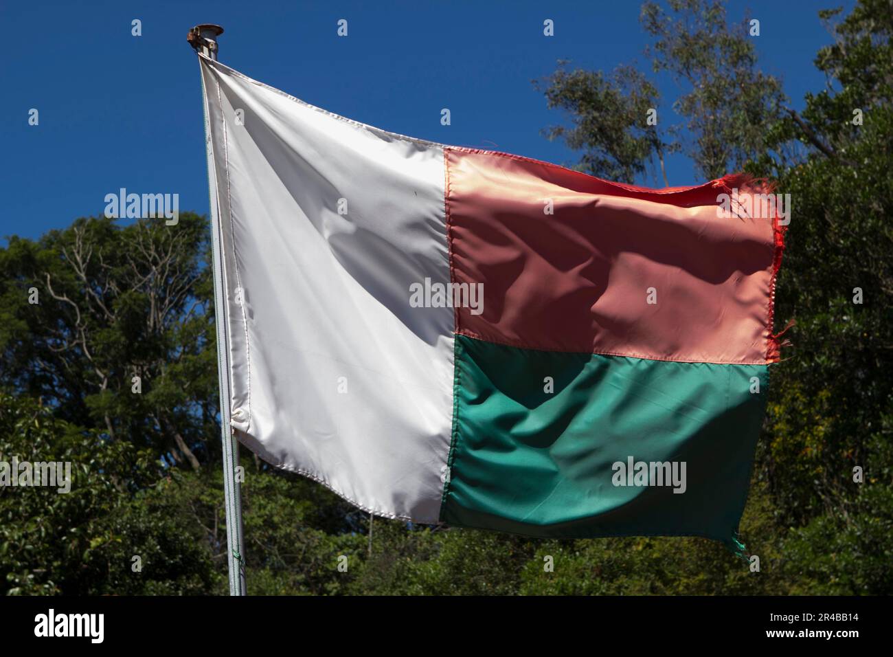 Flag of the Republic of Madagascar, Antananarivo, Madagascar Stock ...