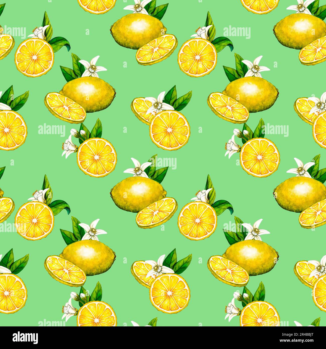 Watercolor seamless pattern lemon slice. Hand drawn botanical ...