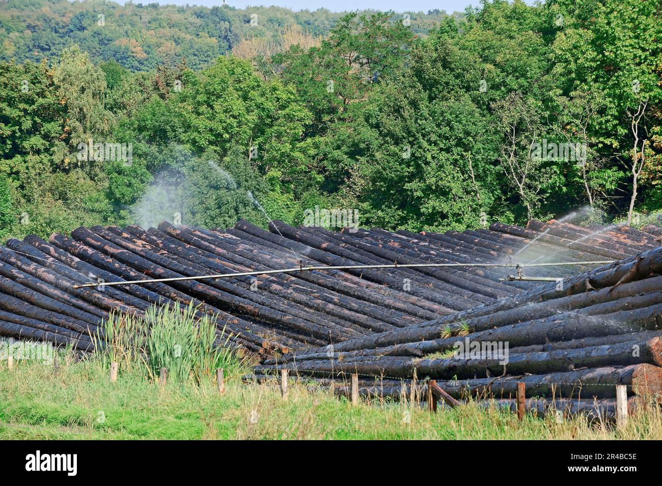 Wet wood storage, irrigation of wood piles, Sauerland, North Rhine ...