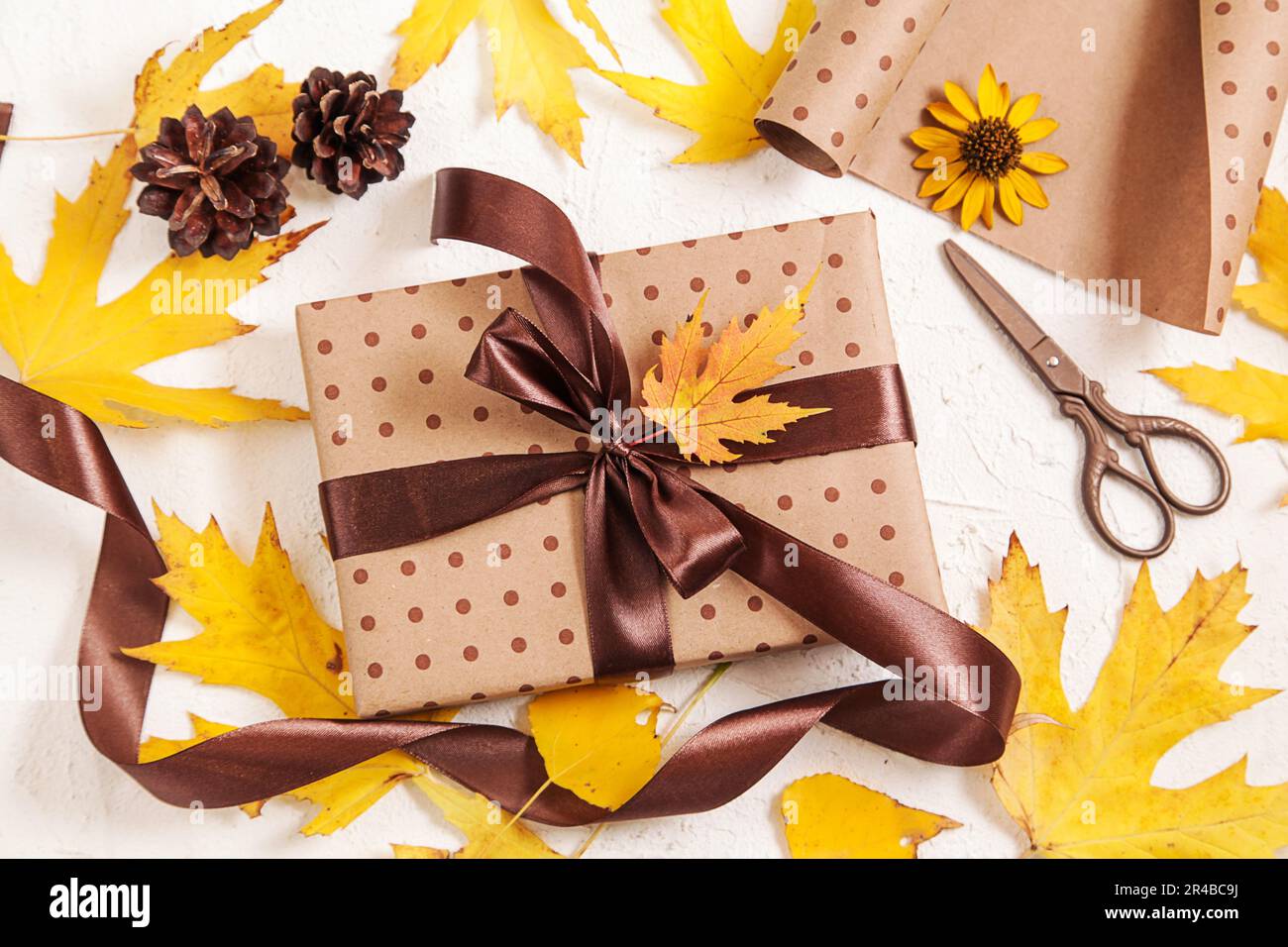 Parcel leaf hi-res stock photography and images - Alamy