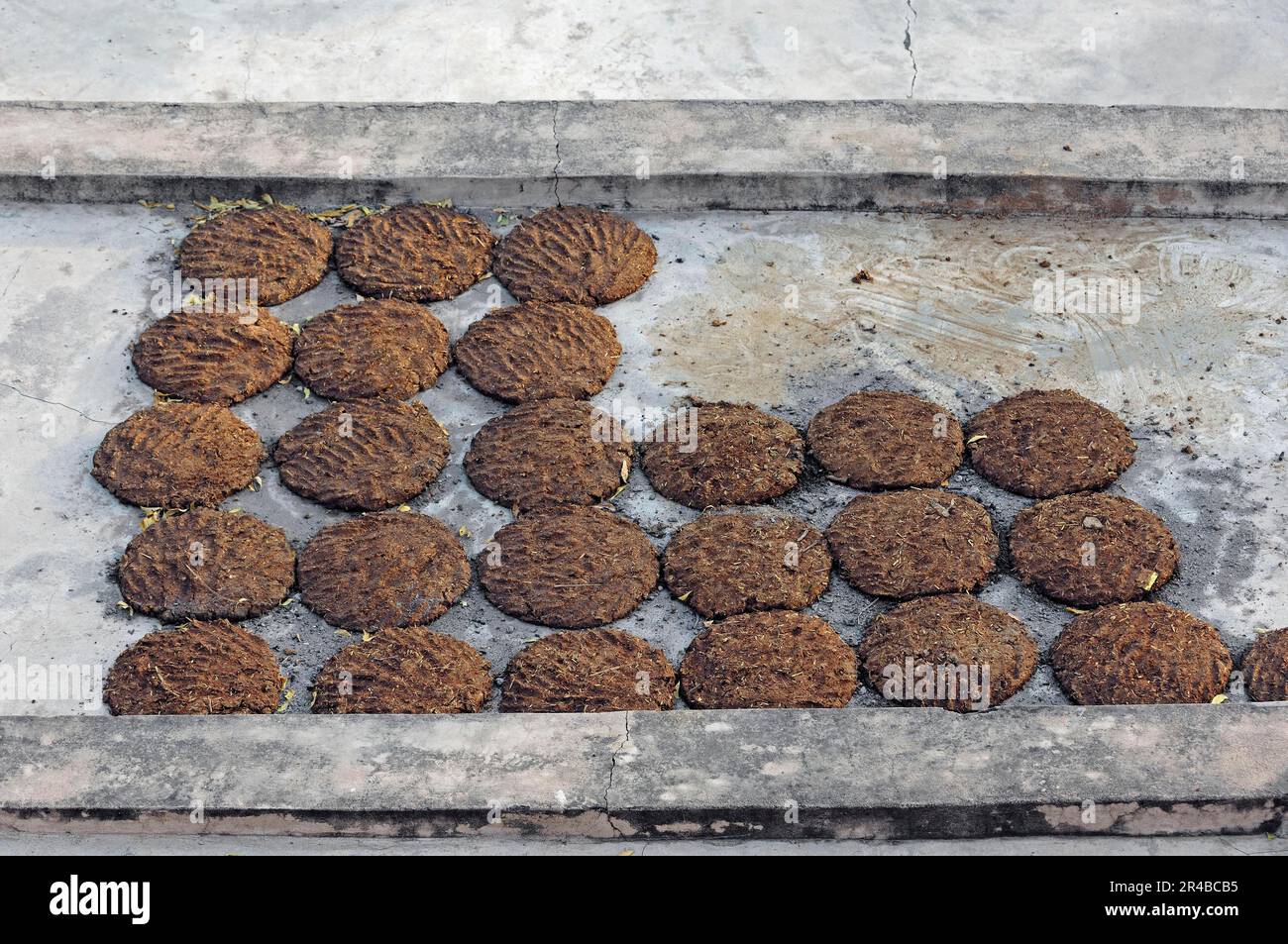 Dung power hi-res stock photography and images - Alamy