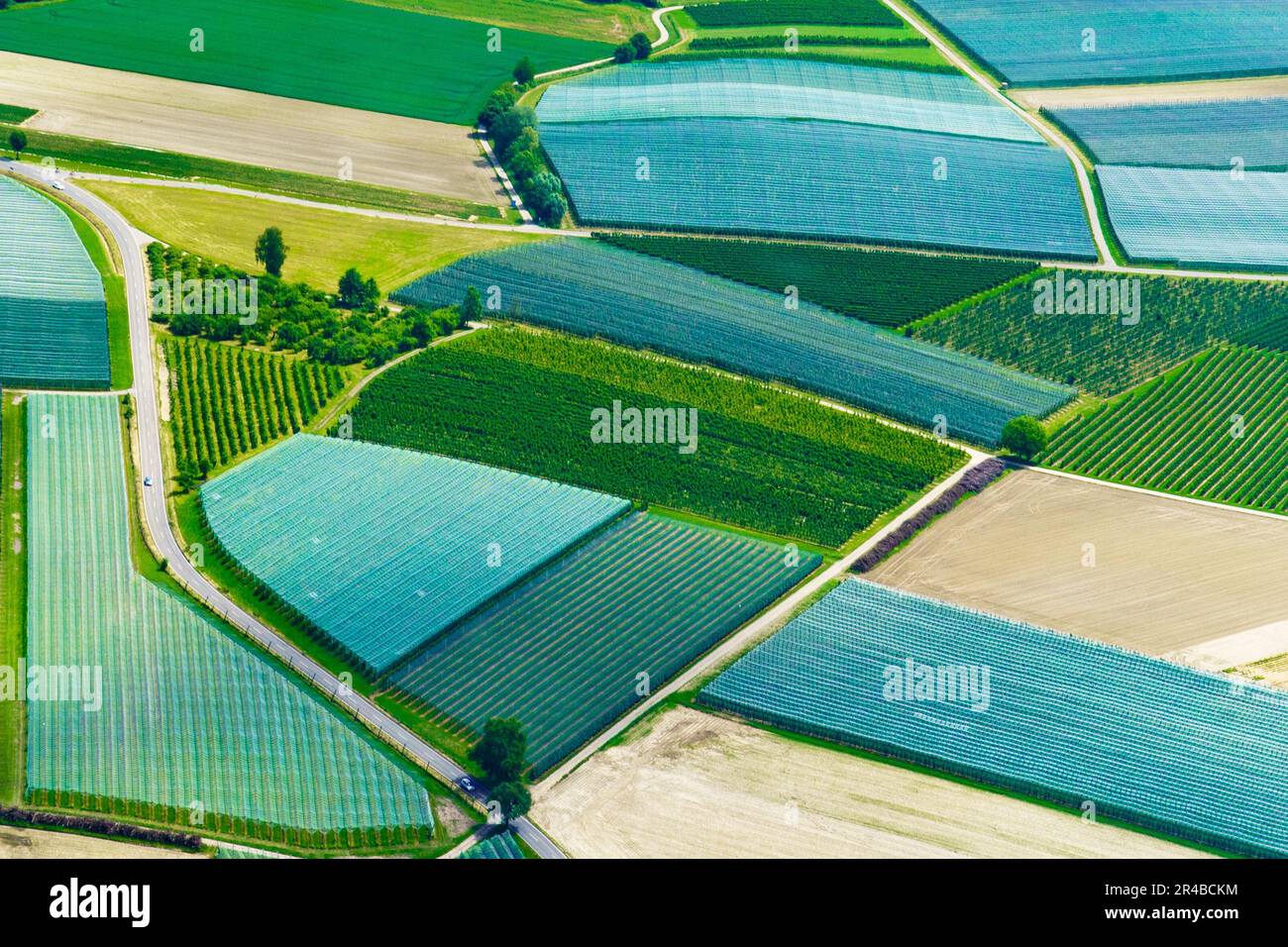 This vibrant image features a lush farm landscape with multiple rows of ...