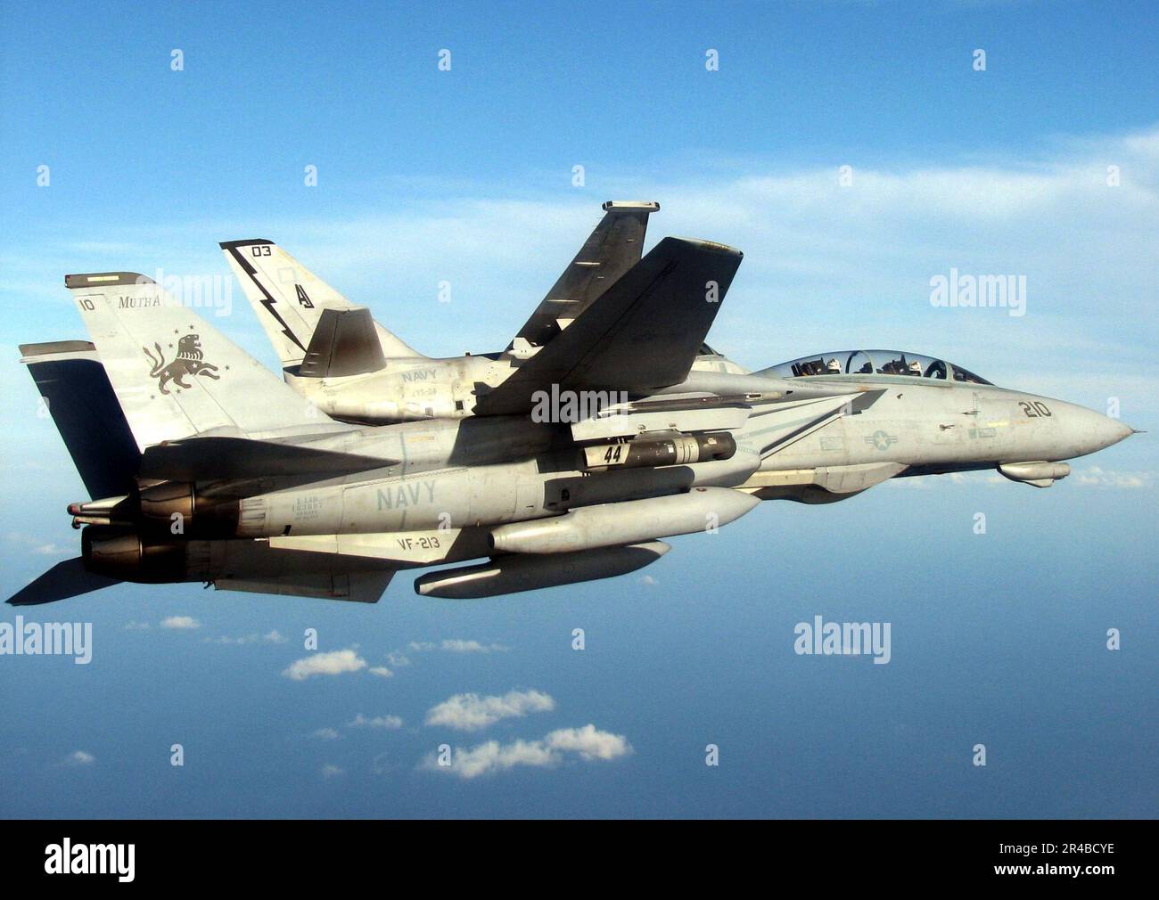 US Navy An F-14D Tomcat, assigned to the Blacklions of Fighter Squadron ...