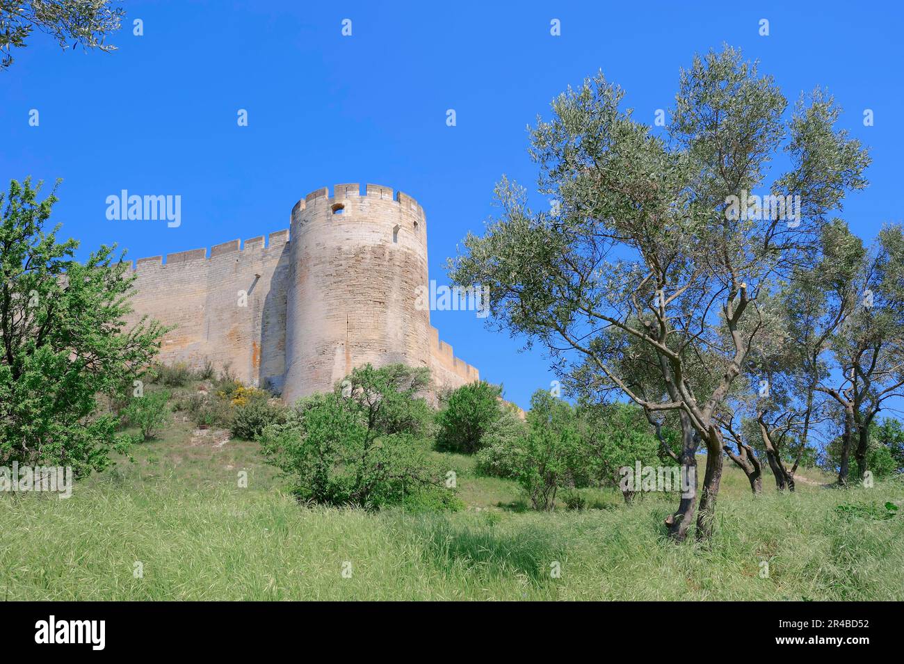 Fort Saint Andre, Villeneuve les Avignon, Gard, Languedoc-Roussillon ...