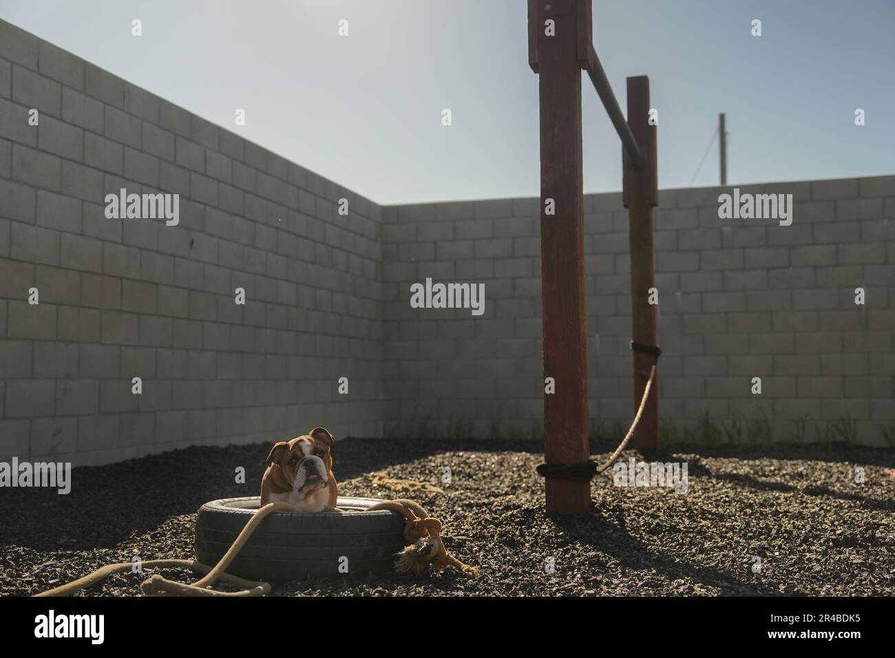 54 stalls hi-res stock photography and images - Alamy