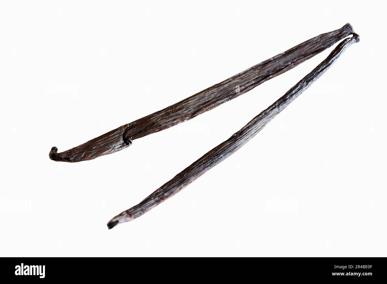 True vanilla, pods, spiced vanilla (Vanilla planifolia), vanilla pods ...