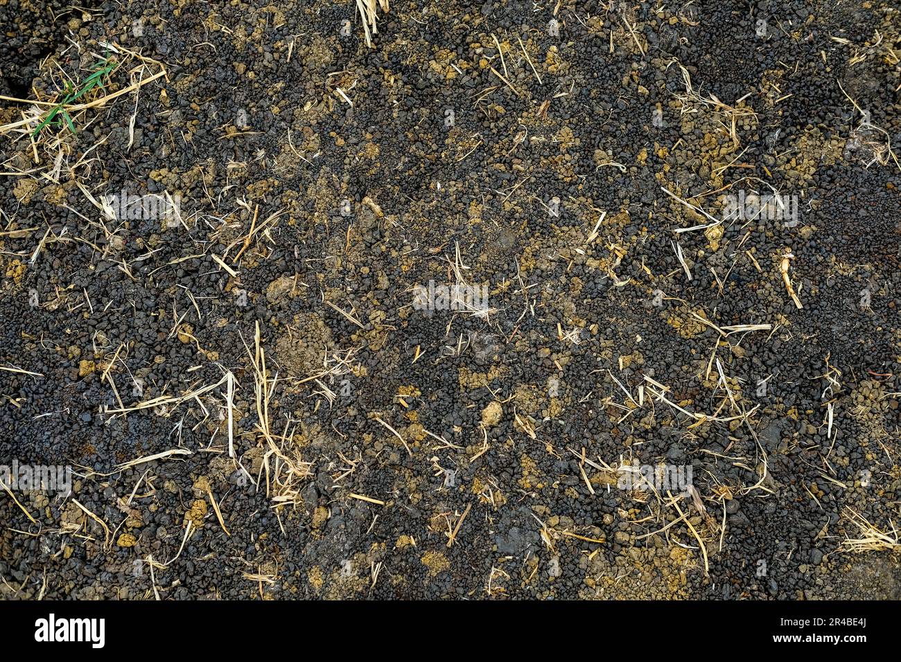 Plain texture hi-res stock photography and images - Alamy