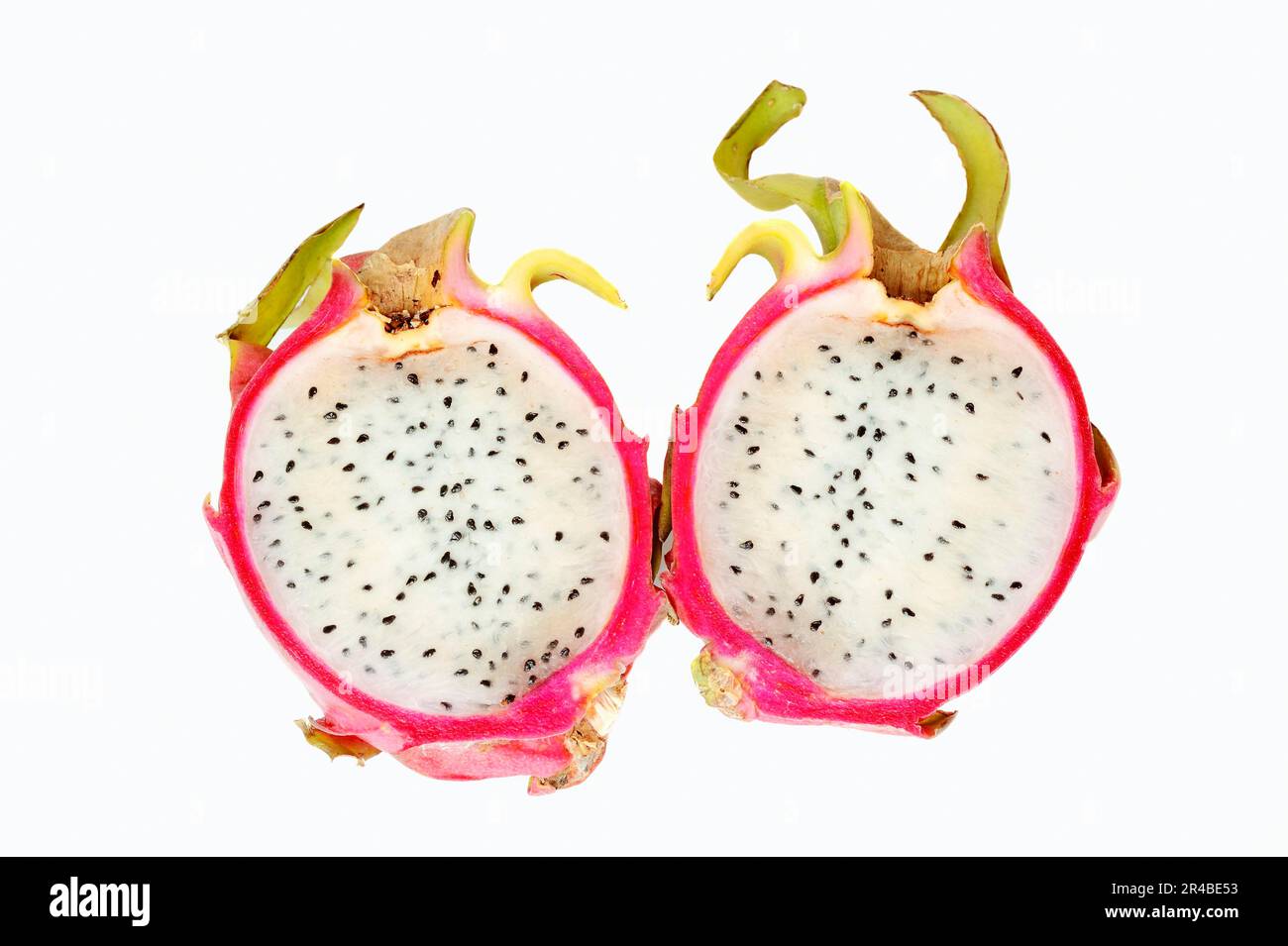White-fleshed Pitahaya (Hylocereus undatus), halved, Pitahaya Stock ...