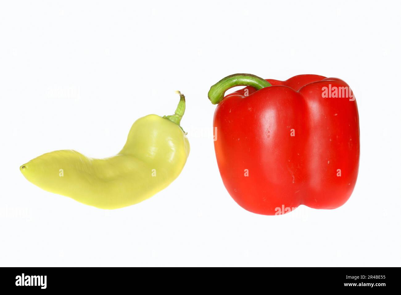 Red and green peppers (Capsicum annuum Stock Photo - Alamy