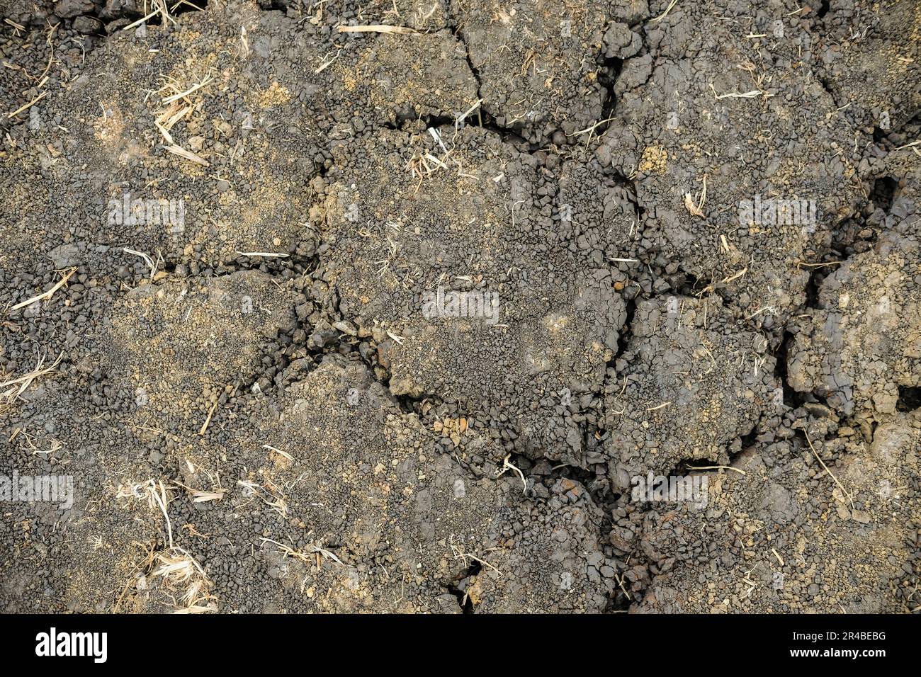 Dry soil plain texture background Stock Photo - Alamy