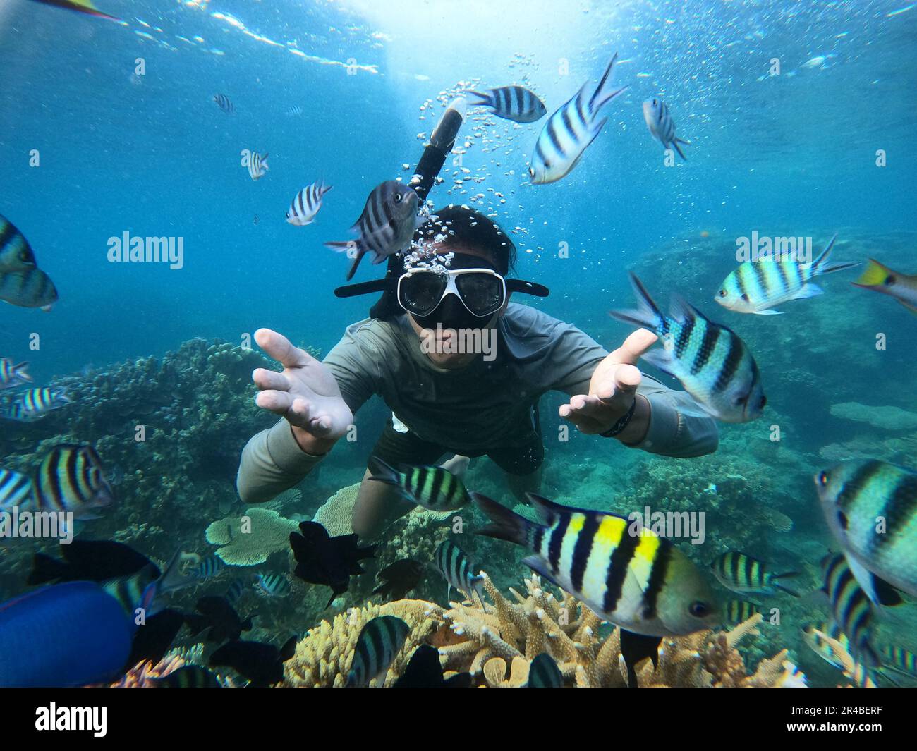 A man can be seen joyfully swimming amongst a wide variety of vibrant ...