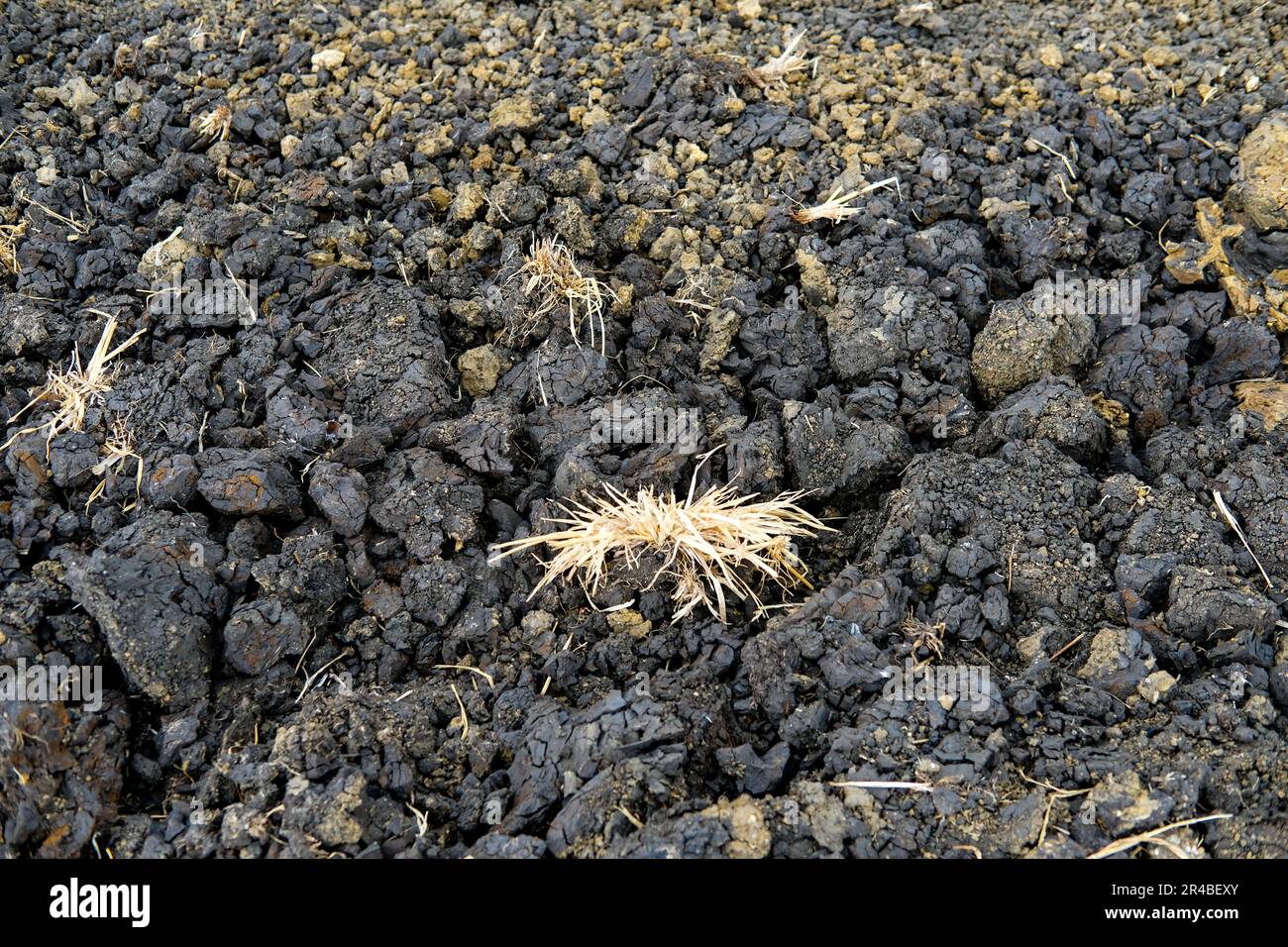 Dry soil plain texture background Stock Photo - Alamy