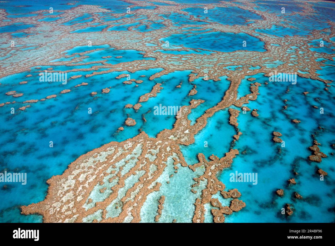 Reefs and Atolls, Great Barrier Reef, Queensland, Australia Stock Photo ...