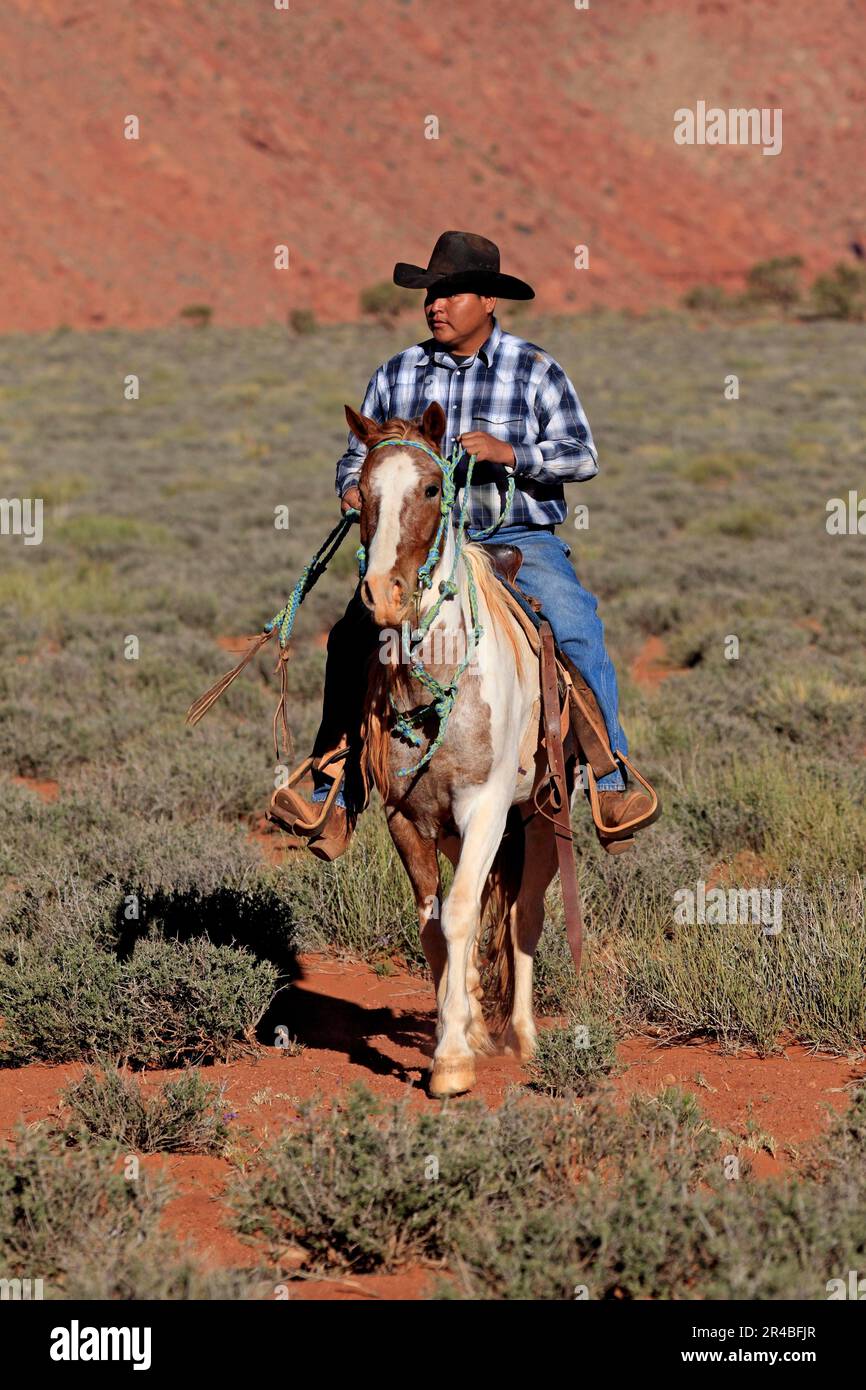 Navajo cowboy, Mustang, Monument Valley, Utah, USA, Native American ...