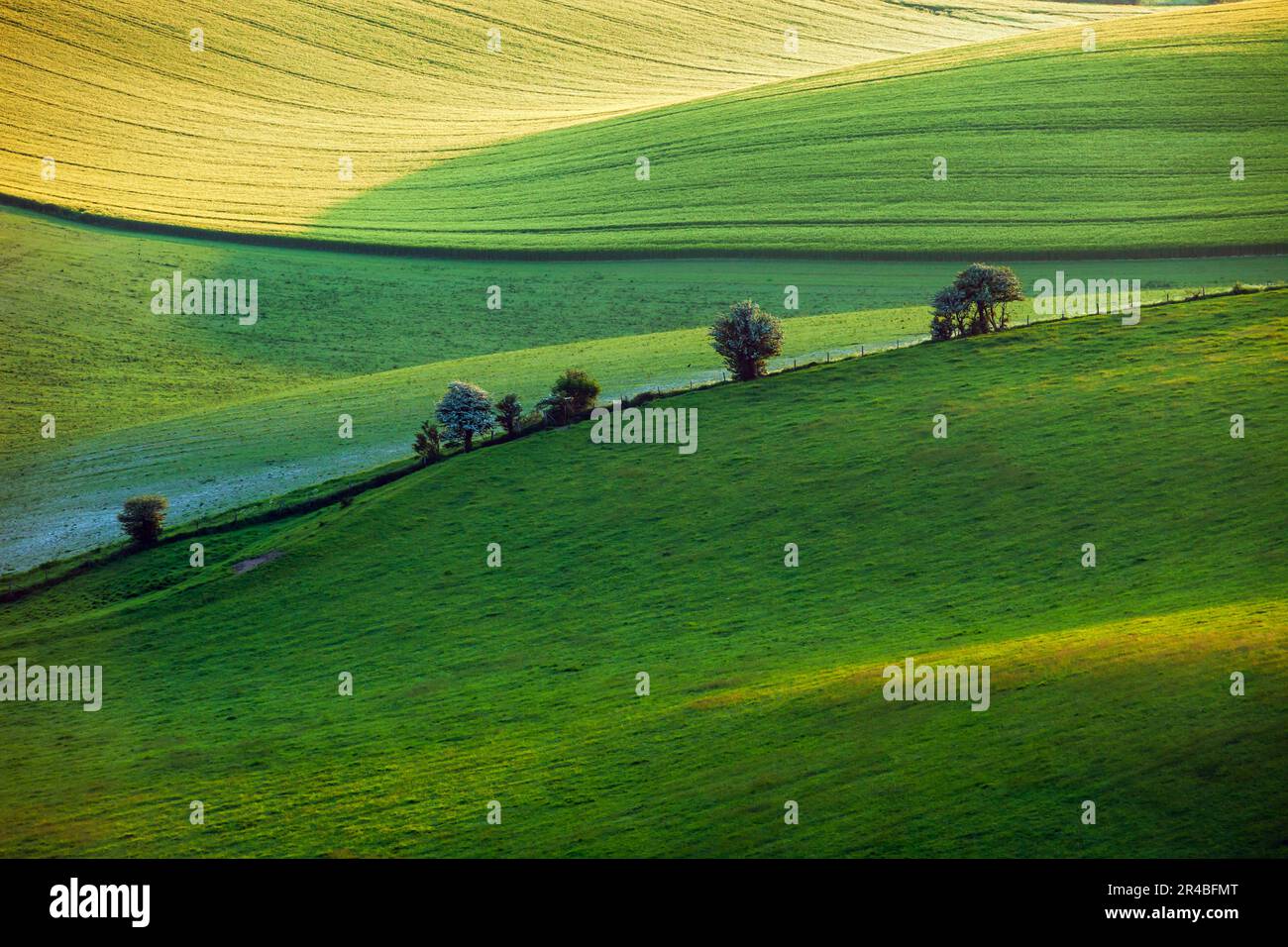 English countryside in may hi-res stock photography and images - Alamy