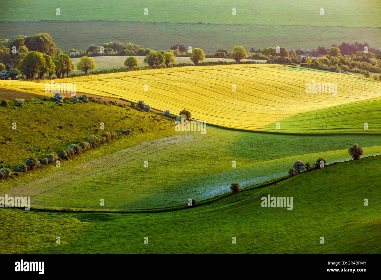 Sussex sunrise spring england hills hi-res stock photography and images ...