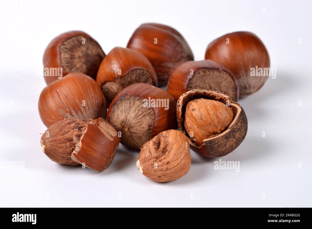 Hazelnuts cutout hi-res stock photography and images - Alamy