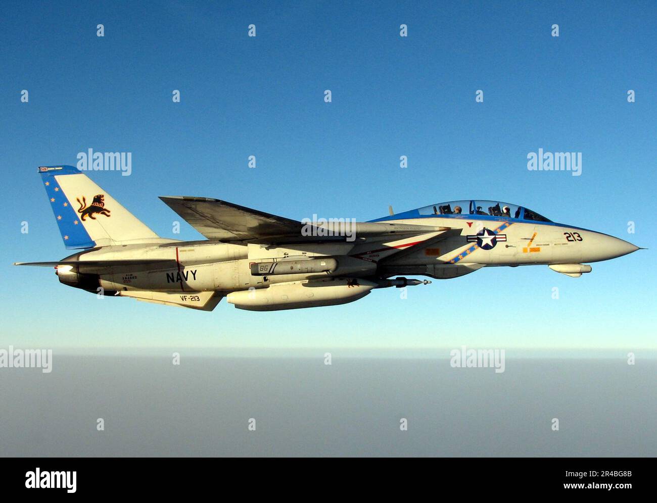 US Navy A specially painted F-14D Tomcat, assigned to the Blacklions of ...