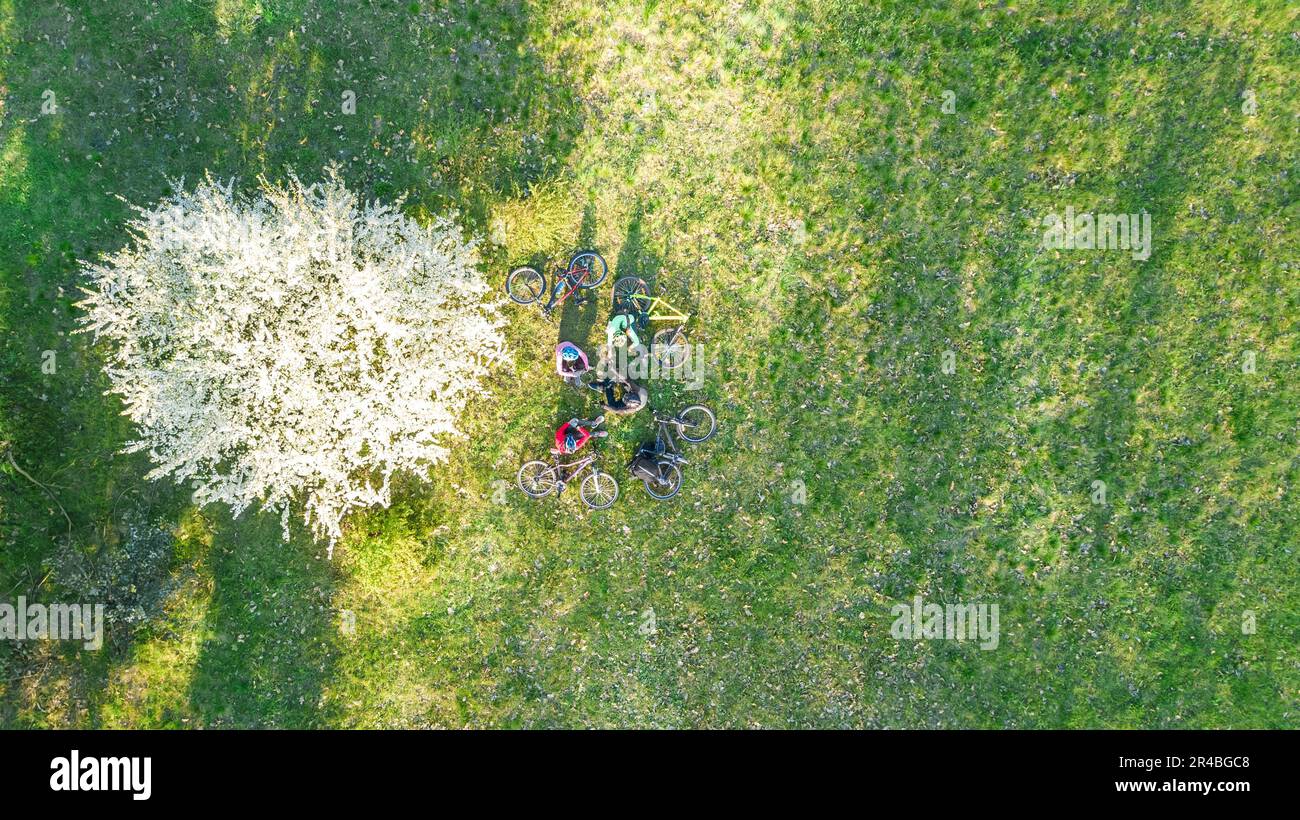 Spring family cycling on bikes aerial drone view from above, happy ...