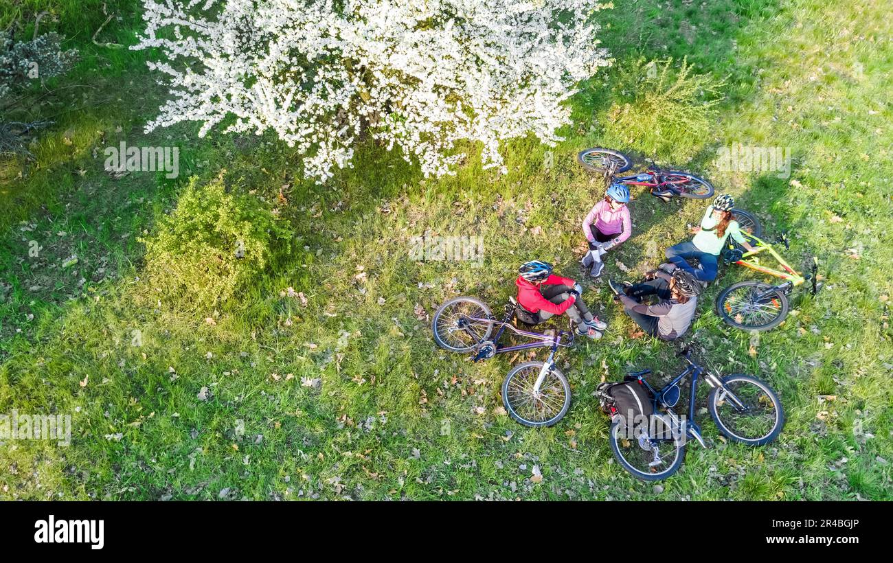 Spring family cycling on bikes aerial drone view from above, happy ...