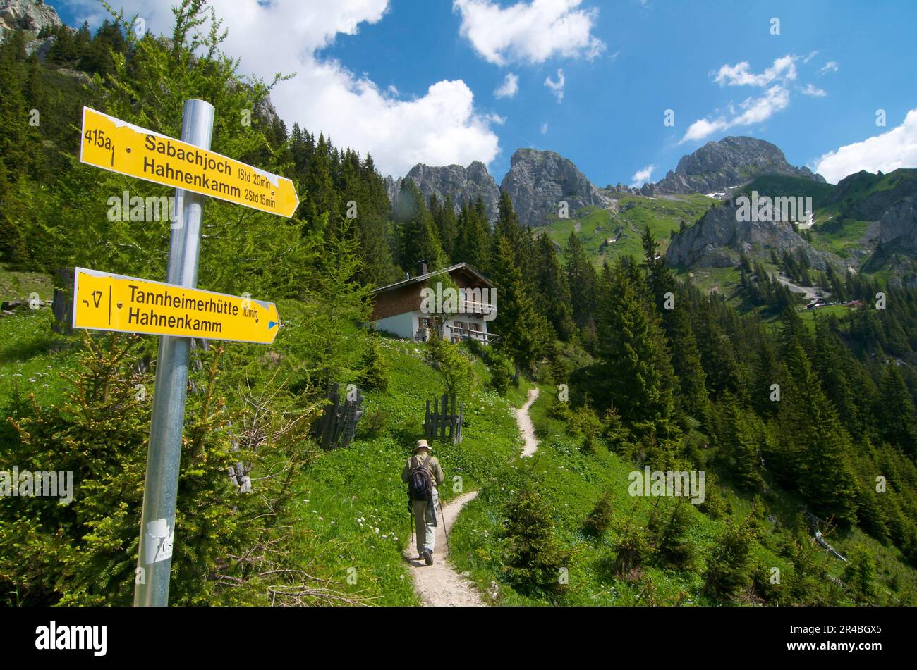 Path to the Tannheimer Huette, Tannheimer Berge, Tannheimer Tal, Tyrol ...