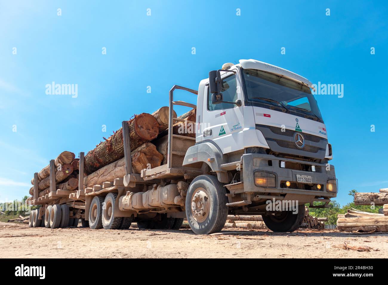 Two trailer truck (road train) loaded with wood logs extracted from an ...