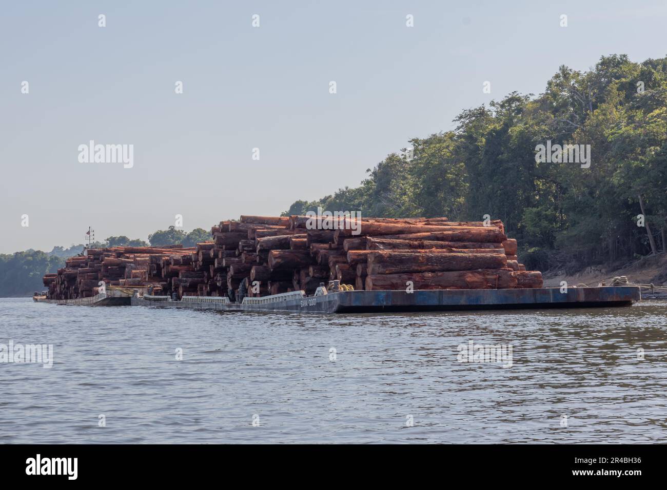 Ferry used for river transportation of logs extracted from an area of ...