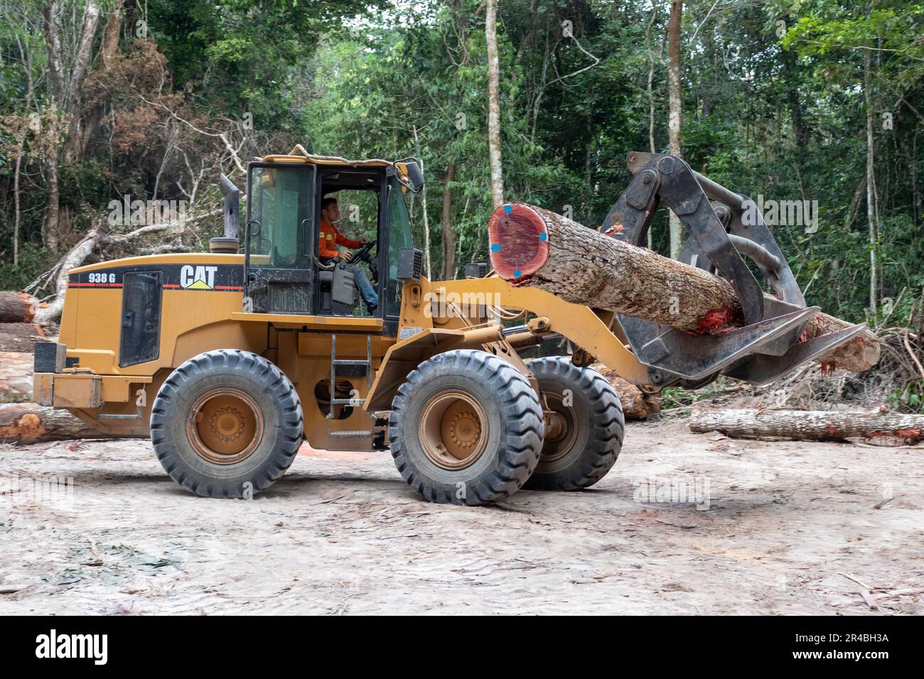 Wheel loader carrying a tree log extracted from the brazilian Amazon ...