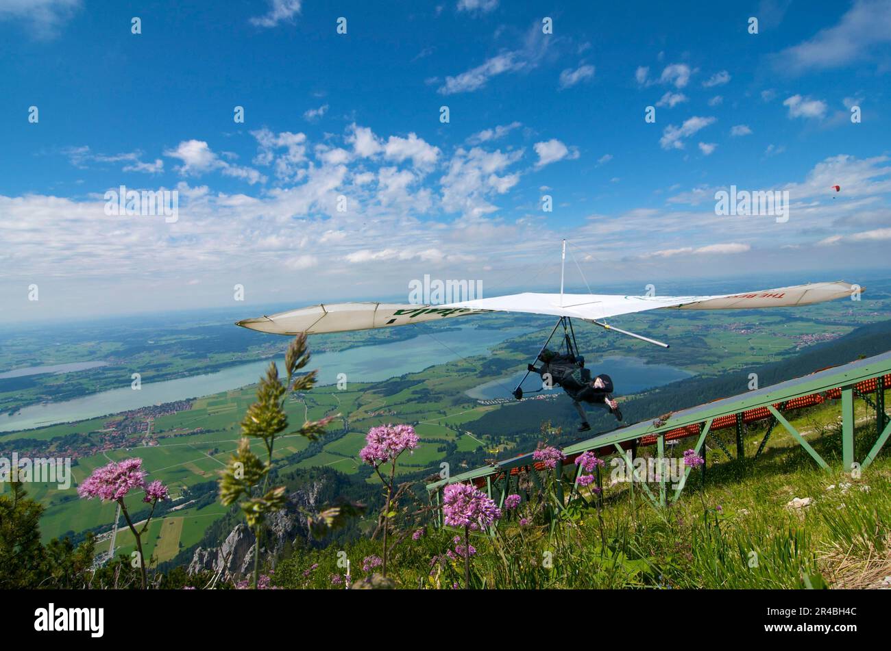 Hang glider on Tegelberg, view of Forggensee, Fuessen, Allgaeu, Bavaria ...