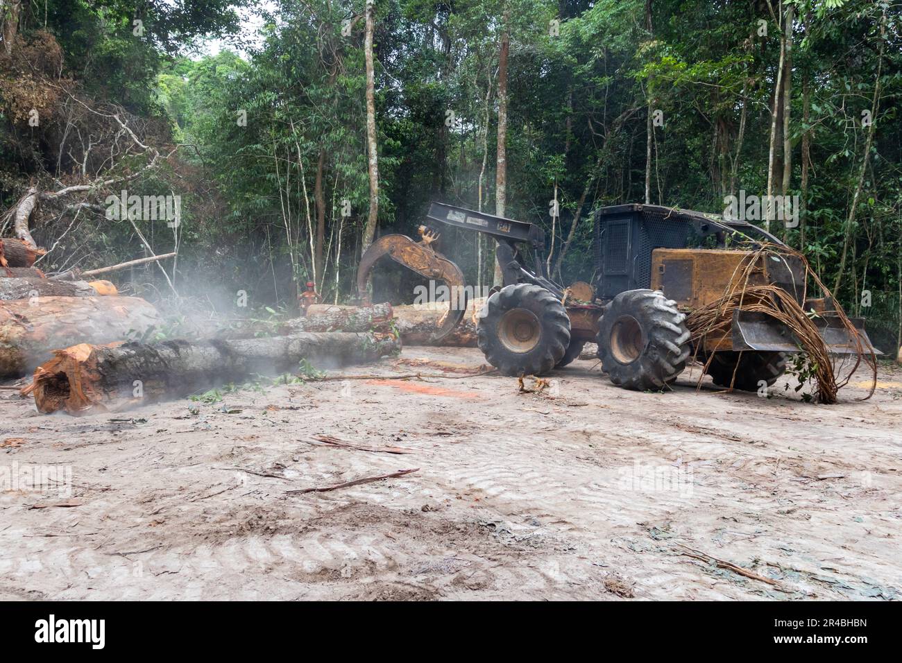 A Caterpillar Skidder carrying logs extracted from a forest in the ...