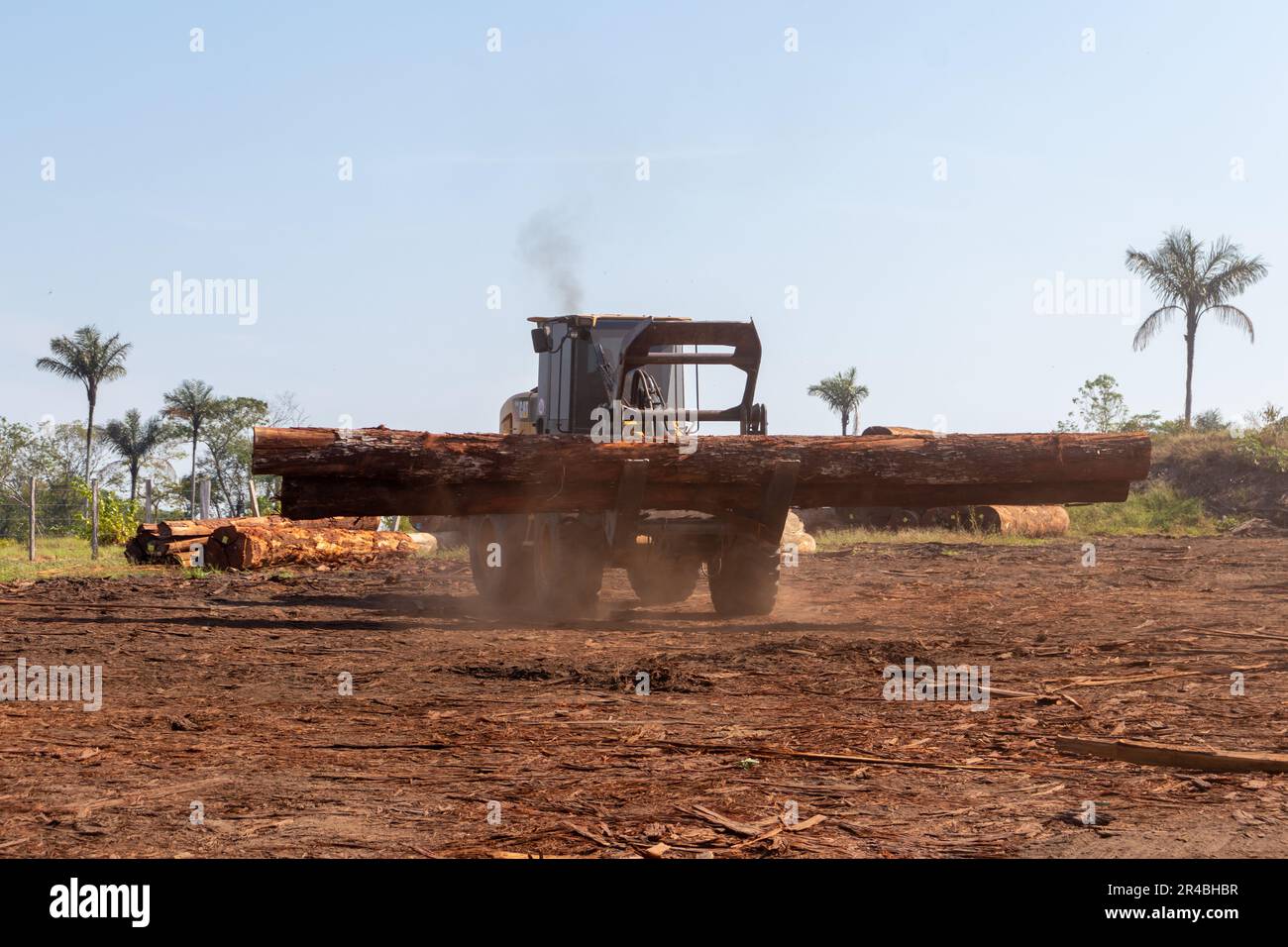 Wheel loader carrying a tree log extracted from the brazilian Amazon ...