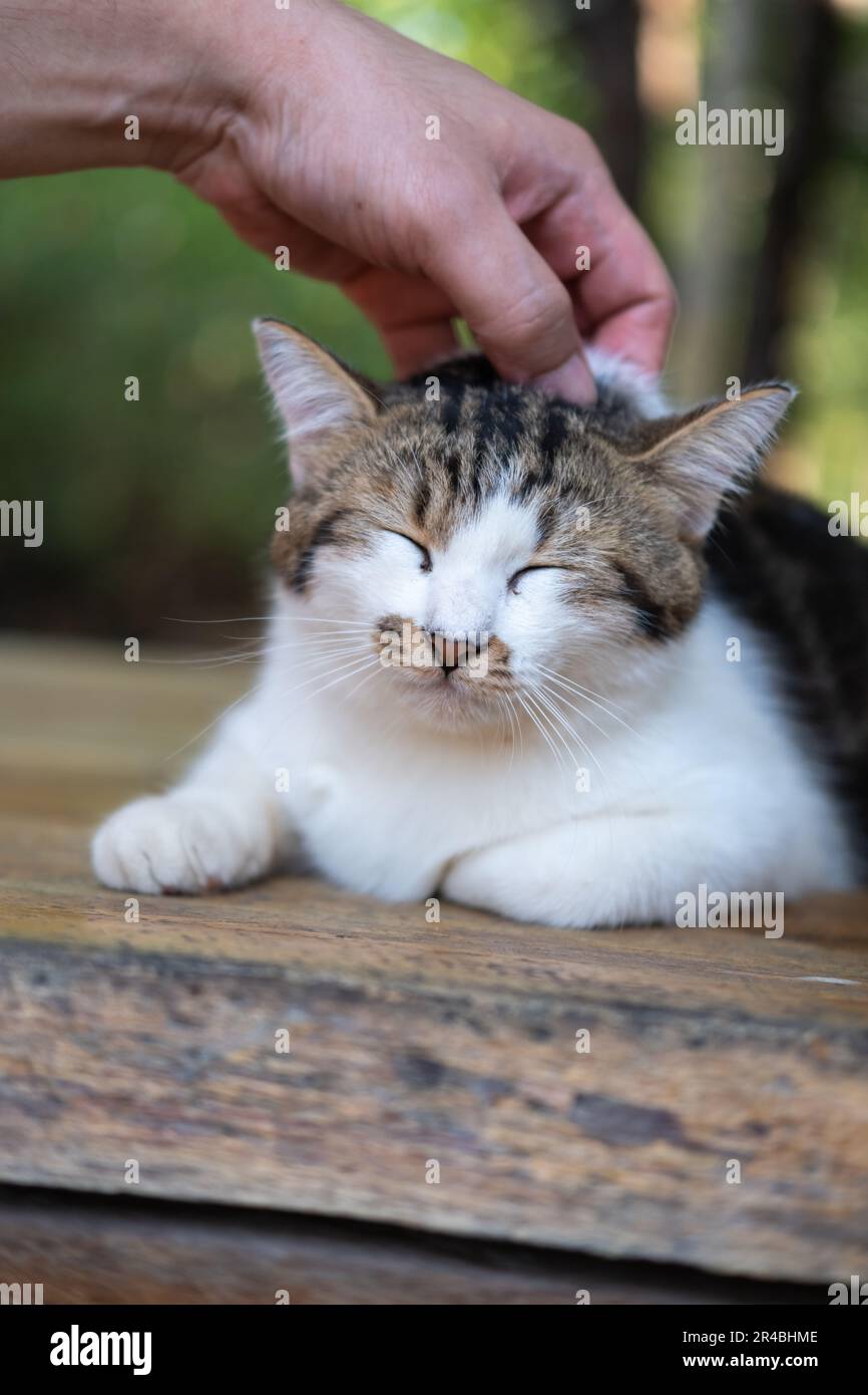 Caress face hi-res stock photography and images - Alamy