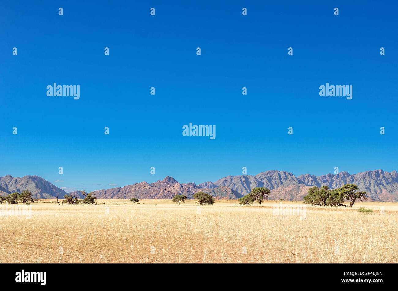 African savanna landscape, savannah wild grassland with mountains on ...