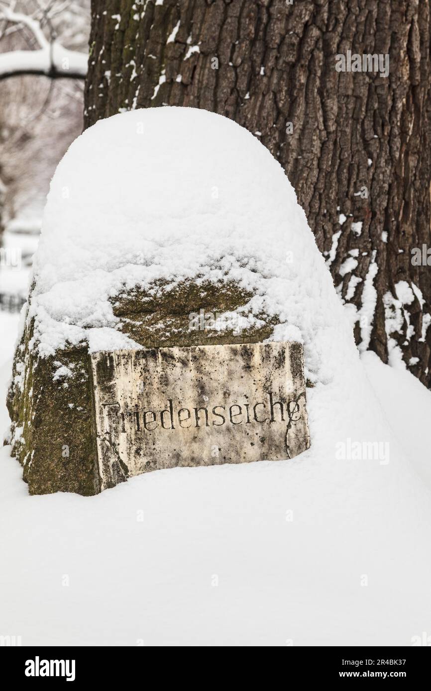Oak mountains hi-res stock photography and images - Alamy