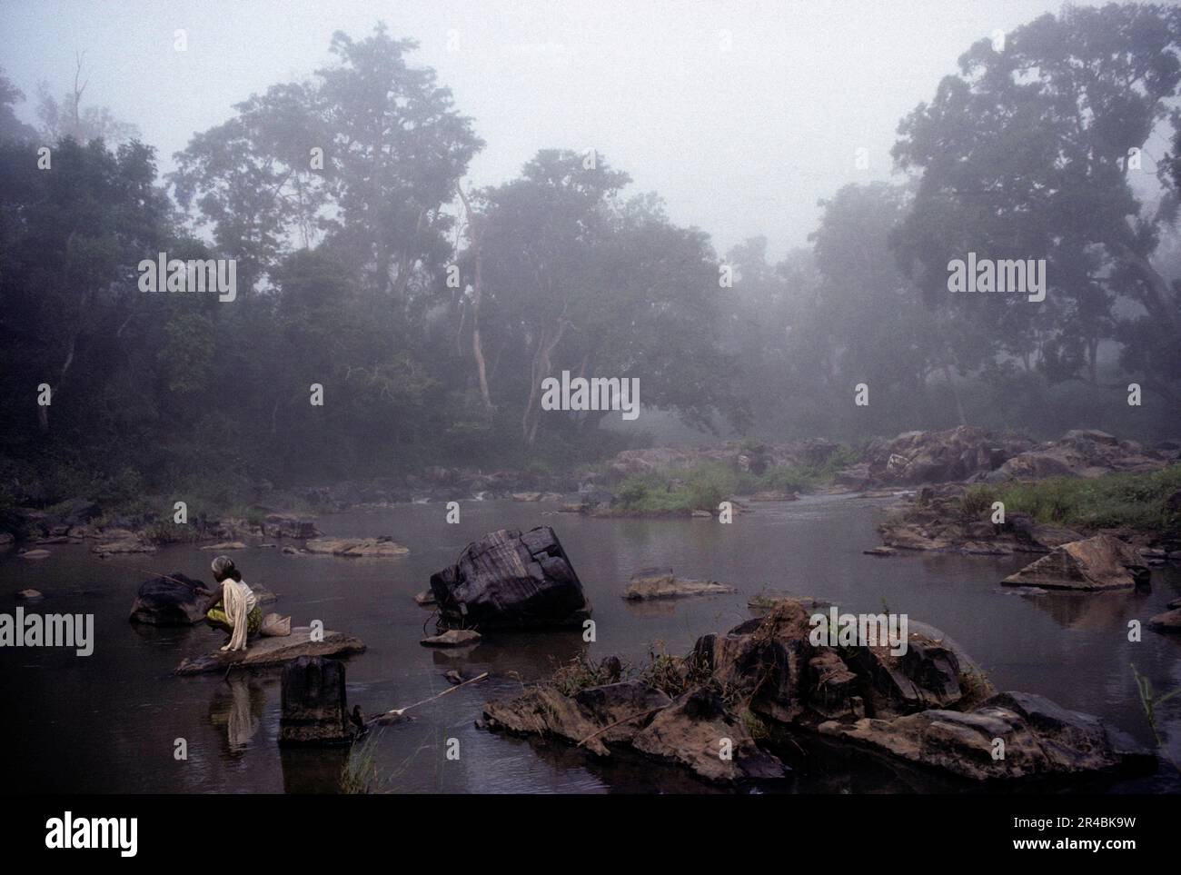 Misty morning an old tribal Betta Kurumba woman angling in Moyar river ...
