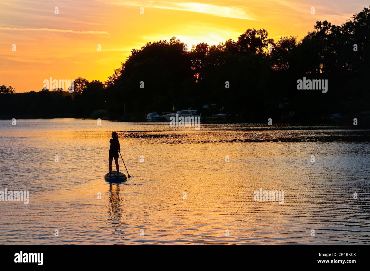 Girl paddling on SUP board on beautiful lake during sunset or sunrise ...
