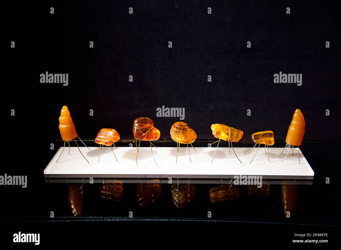 Amber, unique pieces in the castle of Count Tiszkiewicz, Amber Museum ...