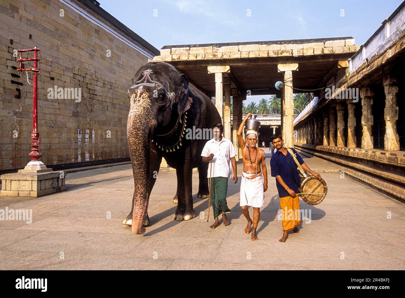The priest carrying the holy water of river Kollidam on his head along ...