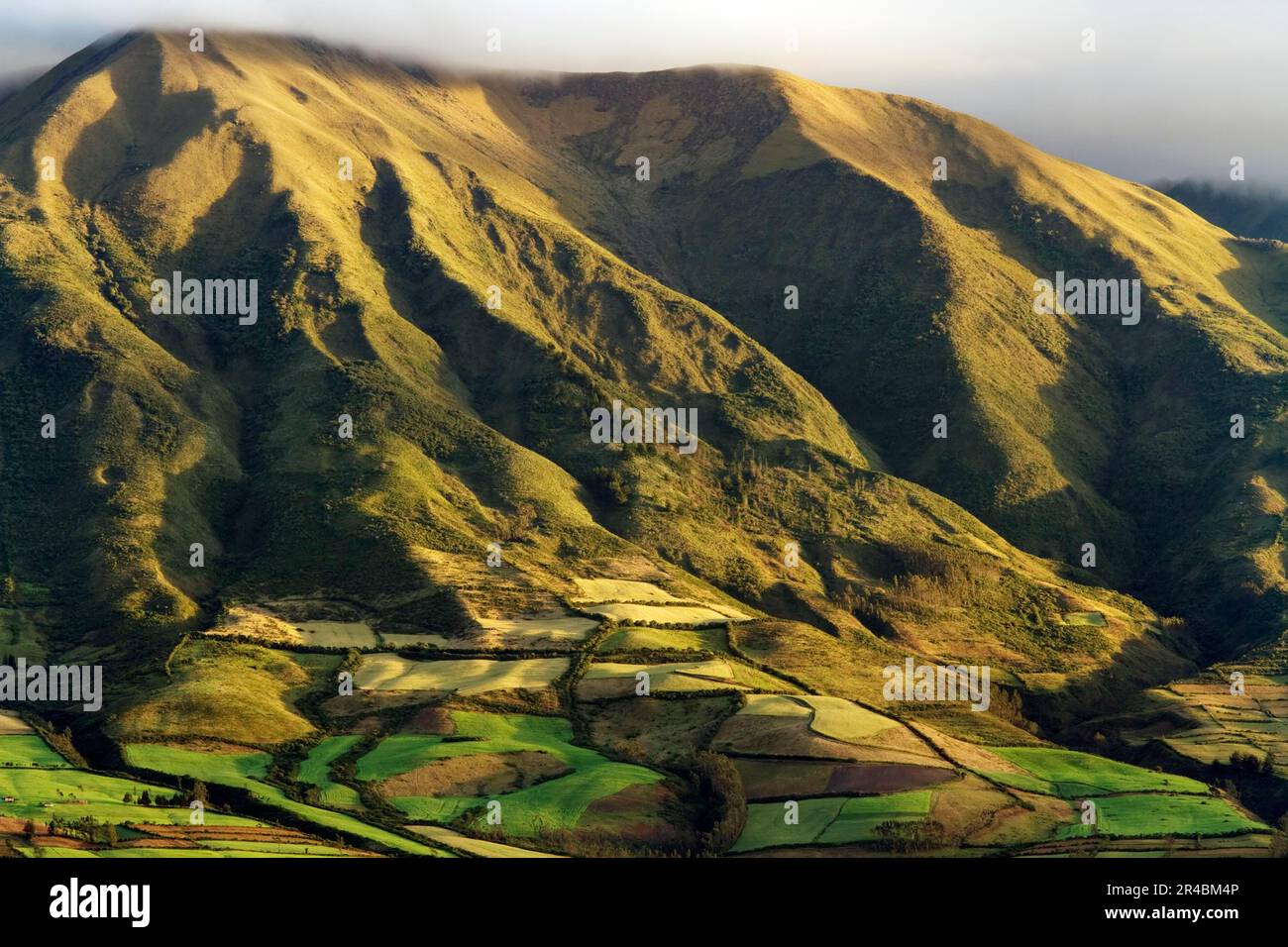 Farmland on the slopes of Cotacachi Volcano, Imbabura Province, Ecuador ...