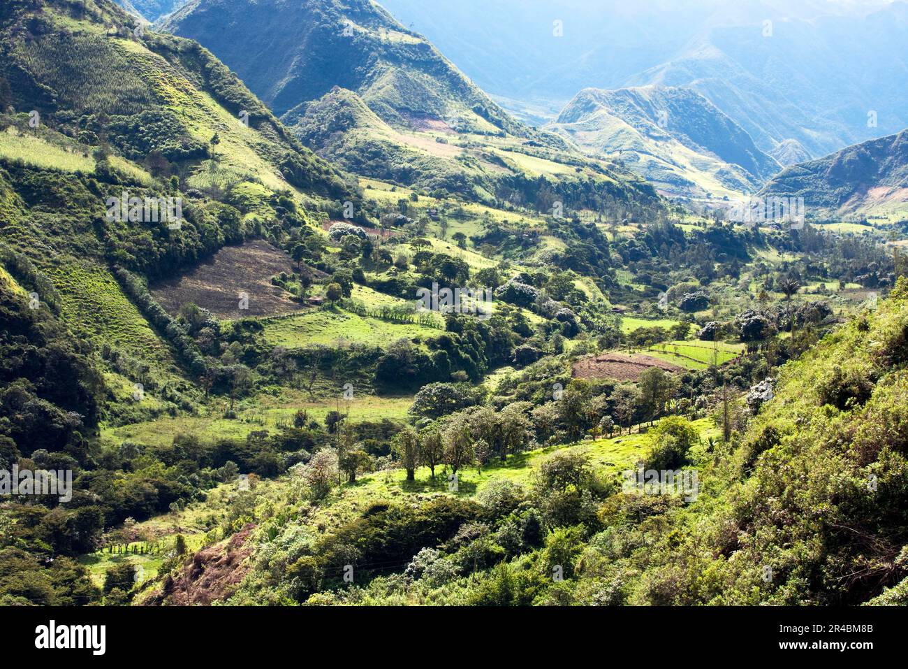 Farmland, cloud forest destruction, Imbabura province, Ecuador Stock ...