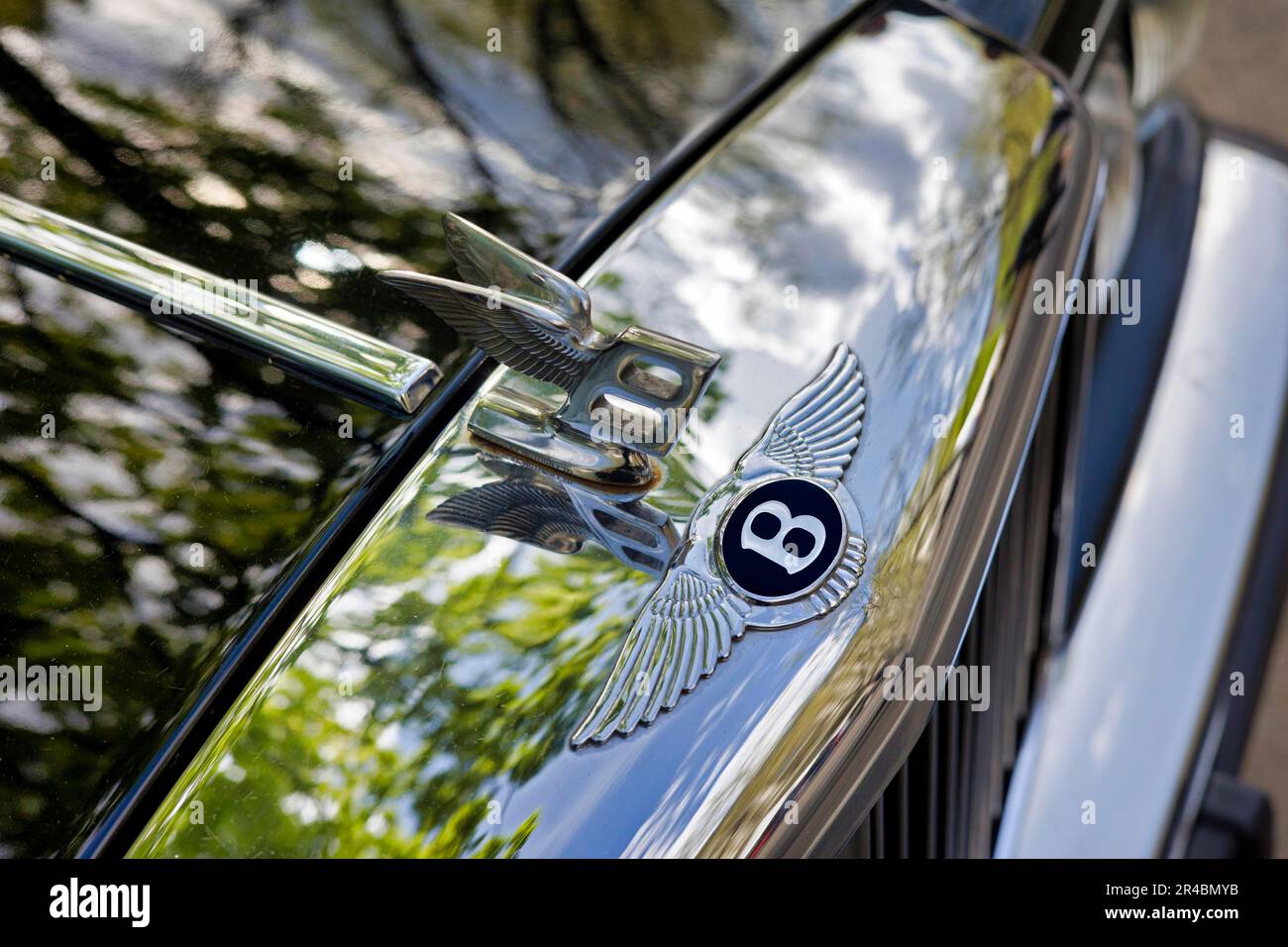 Bentley emblem and a radiator mascot of the Bentley S2 Continental ...