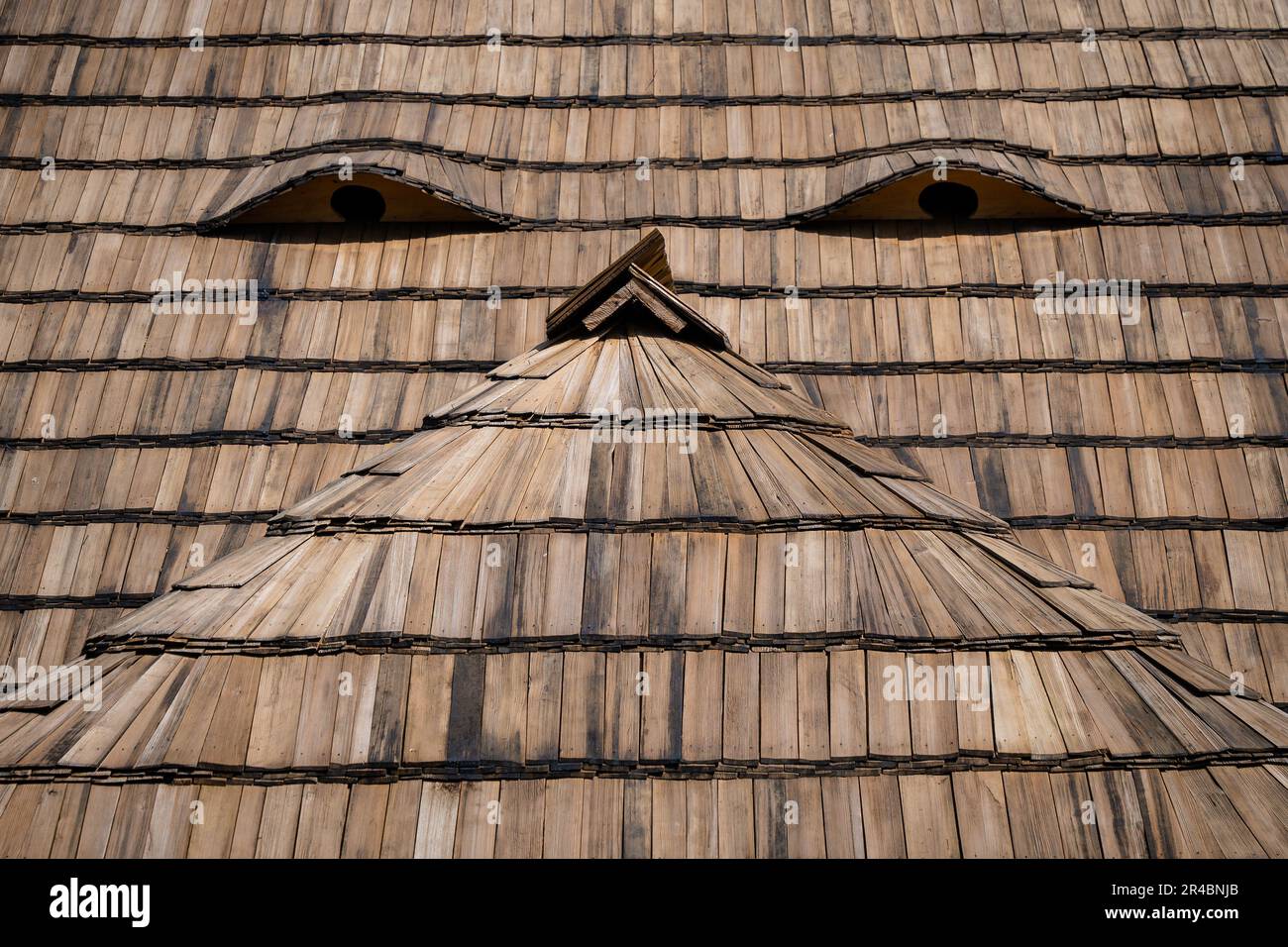 An exterior of a building with a unique roof facade with a face-like ...