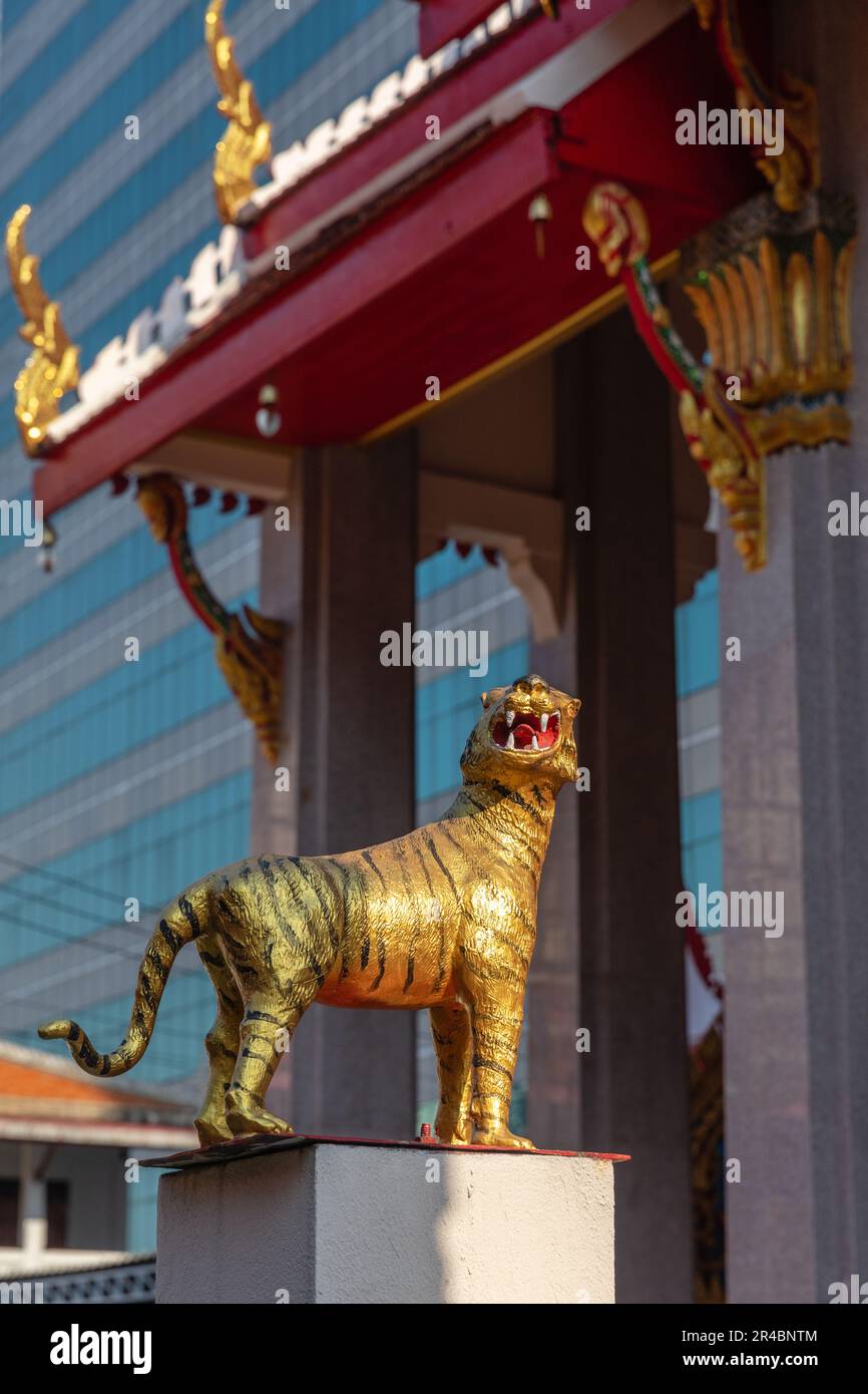 Tiger statue at Wat Muang Kae, Thai Buddhist temple in Bangkok ...