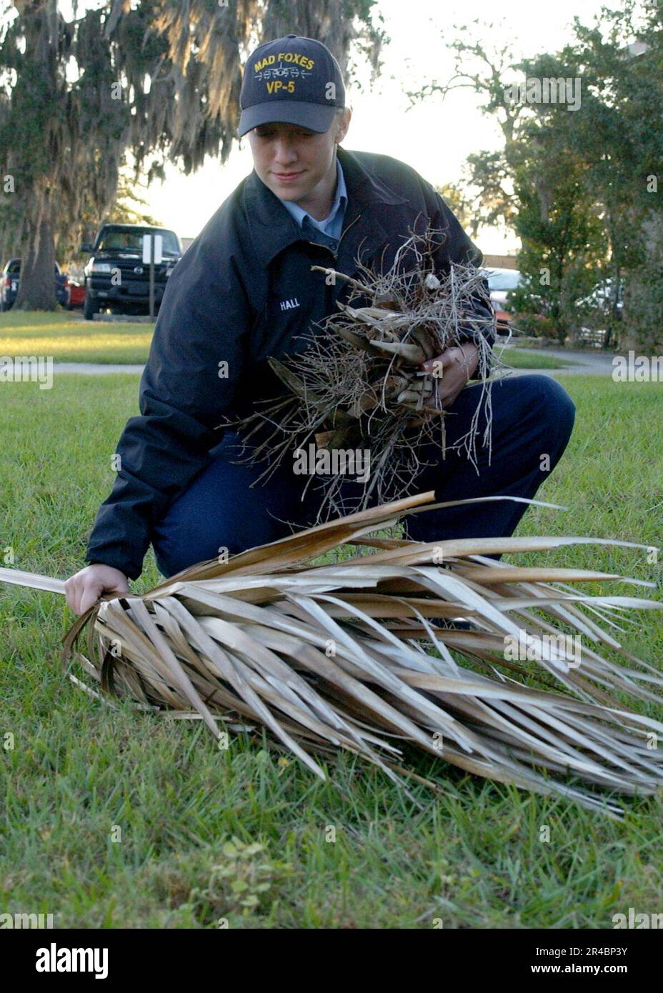 US Navy Photographer's Mate Airman picks up palm tree frowns on board ...