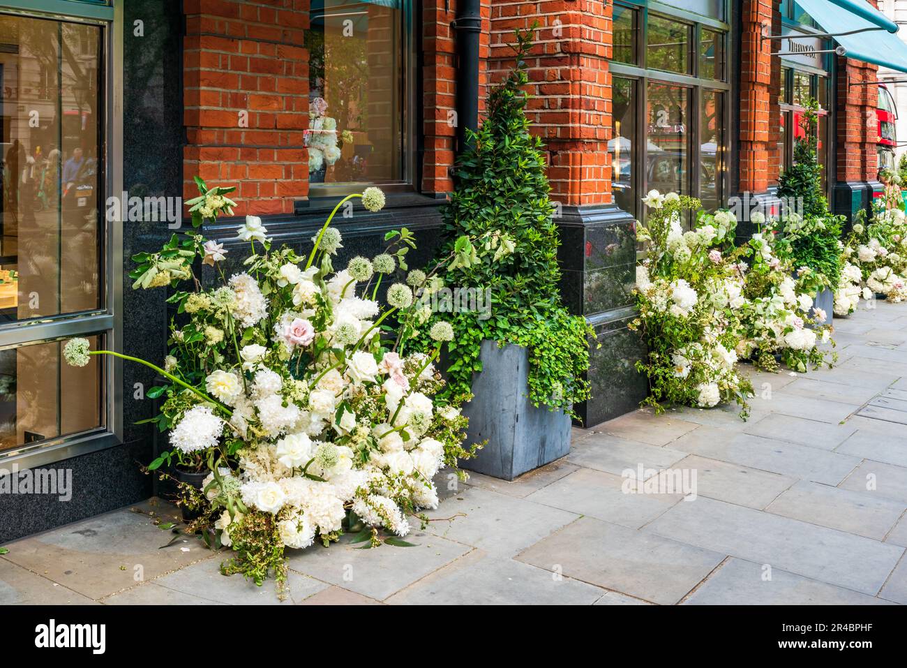 LONDON, UK - MAY 24, 2023: Spectacular floral displays for Chelsea in ...