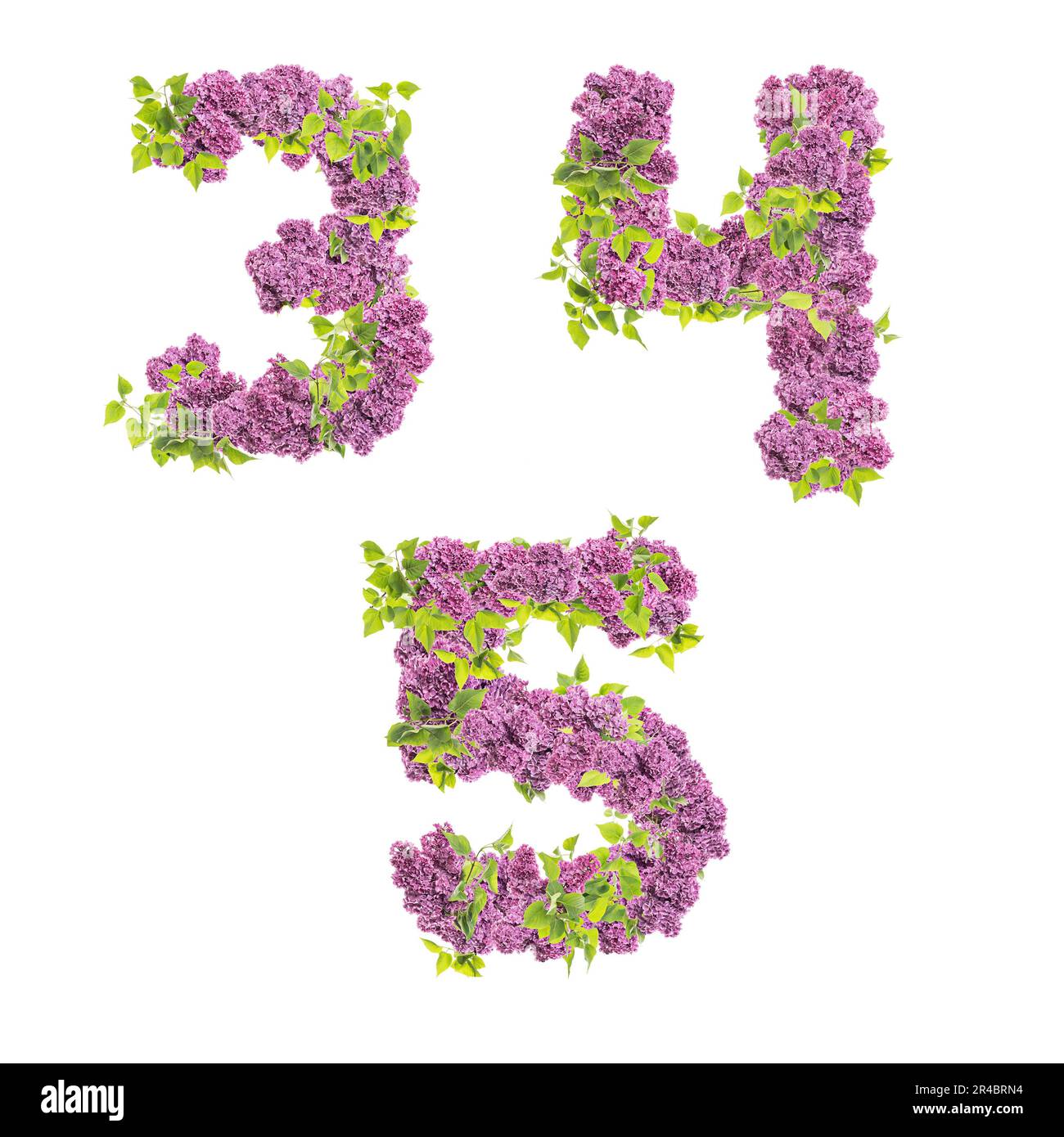 3D rendering of Lilac flowers capital letters alphabet - digits 6-9 ...