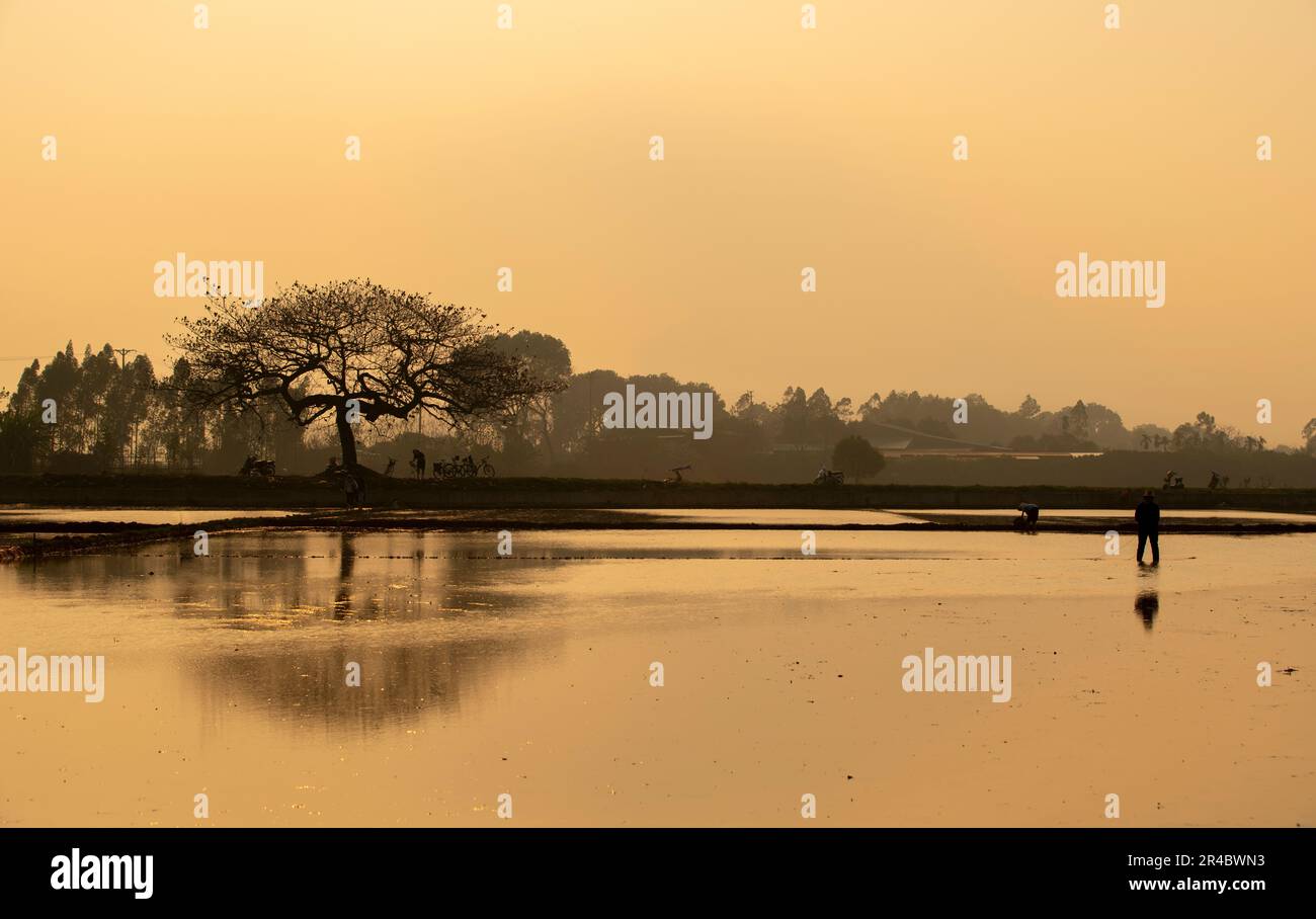 Dong mo hi-res stock photography and images - Alamy